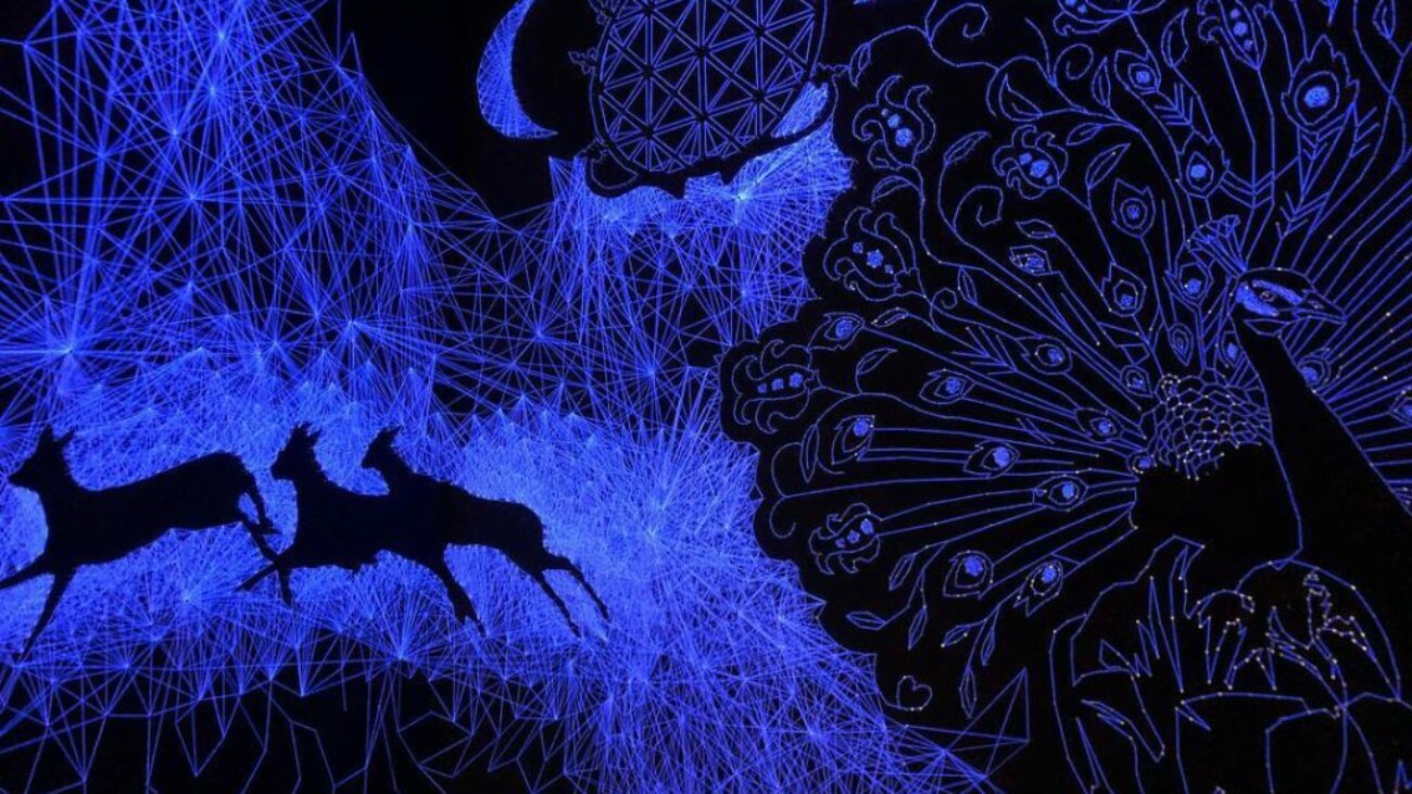 Julien Salaud | Artiste plasticien