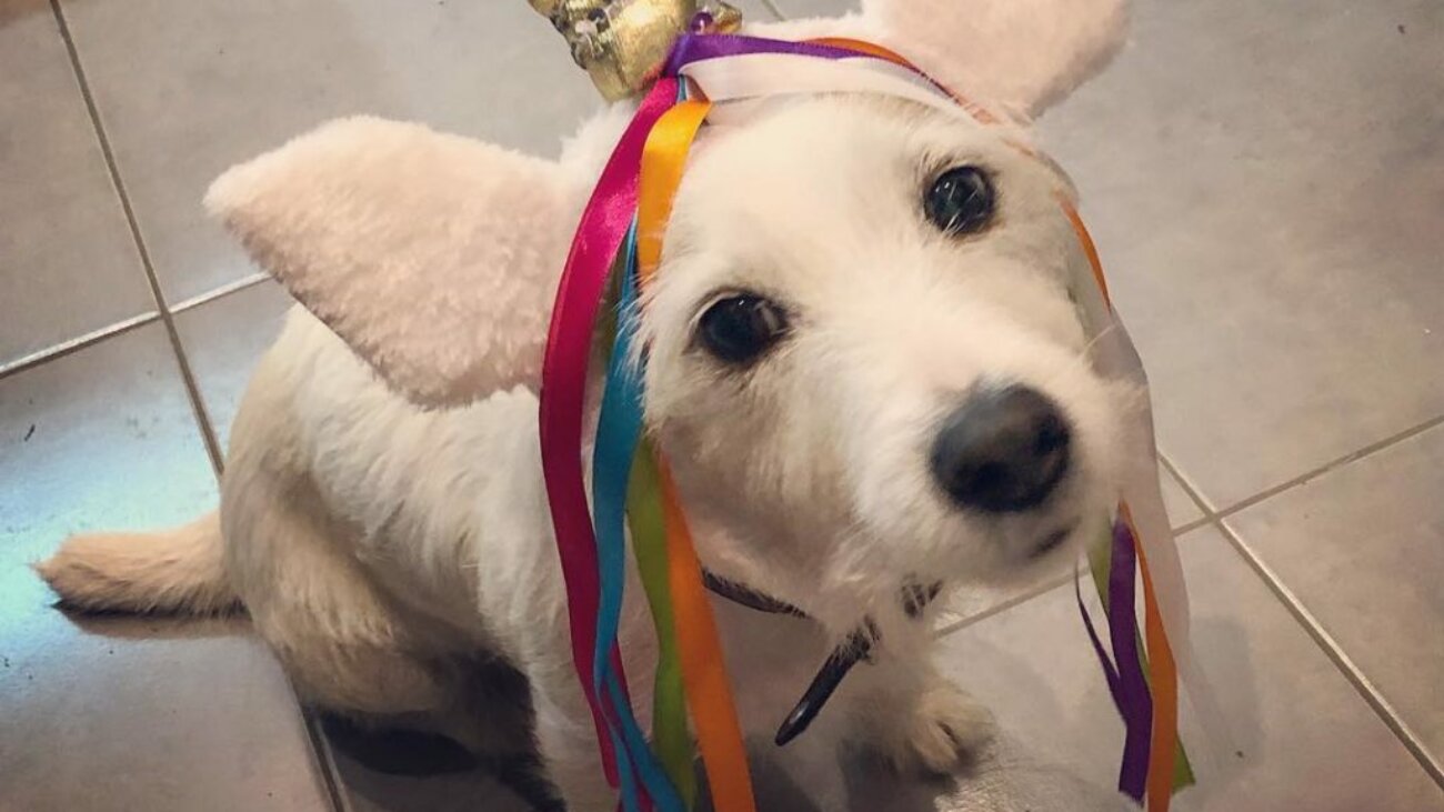 Julien Salaud | Artiste plasticien