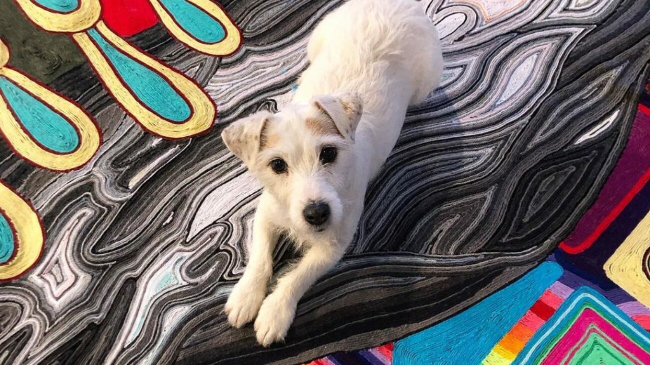 Julien Salaud | Artiste plasticien