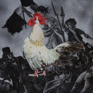 Julien Salaud – Artiste plasticien