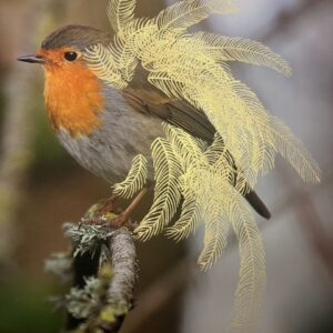 Julien Salaud – Artiste plasticien