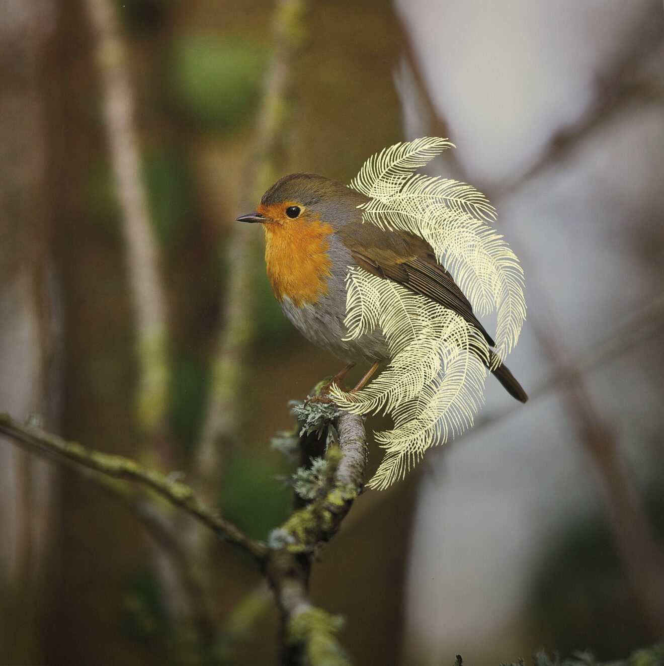 Julien Salaud – Artiste plasticien