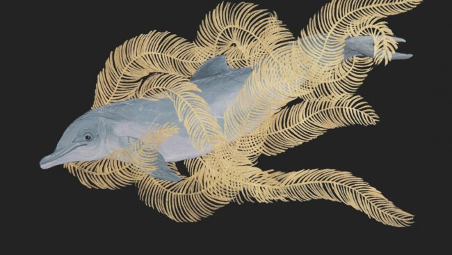 Julien Salaud – Artiste plasticien