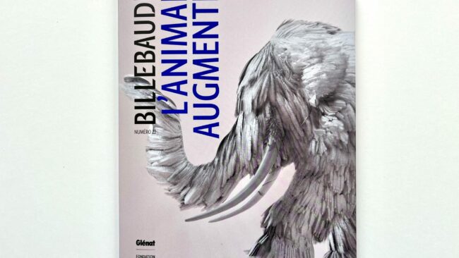 Julien Salaud – Artiste plasticien