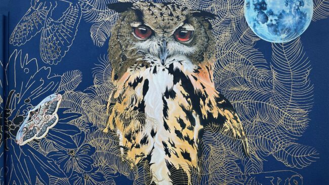 Julien Salaud – Artiste plasticien