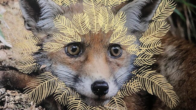 Julien Salaud – Artiste plasticien